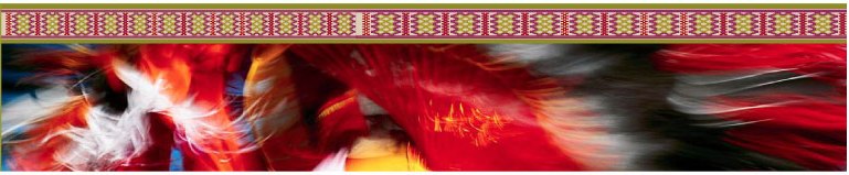 Native American Intellectual Property Enterprise Council | NAIPECNative ...